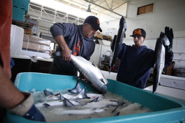 Opening A Fish Restaurant: Design Menus With A Splash – Tips Inside ...